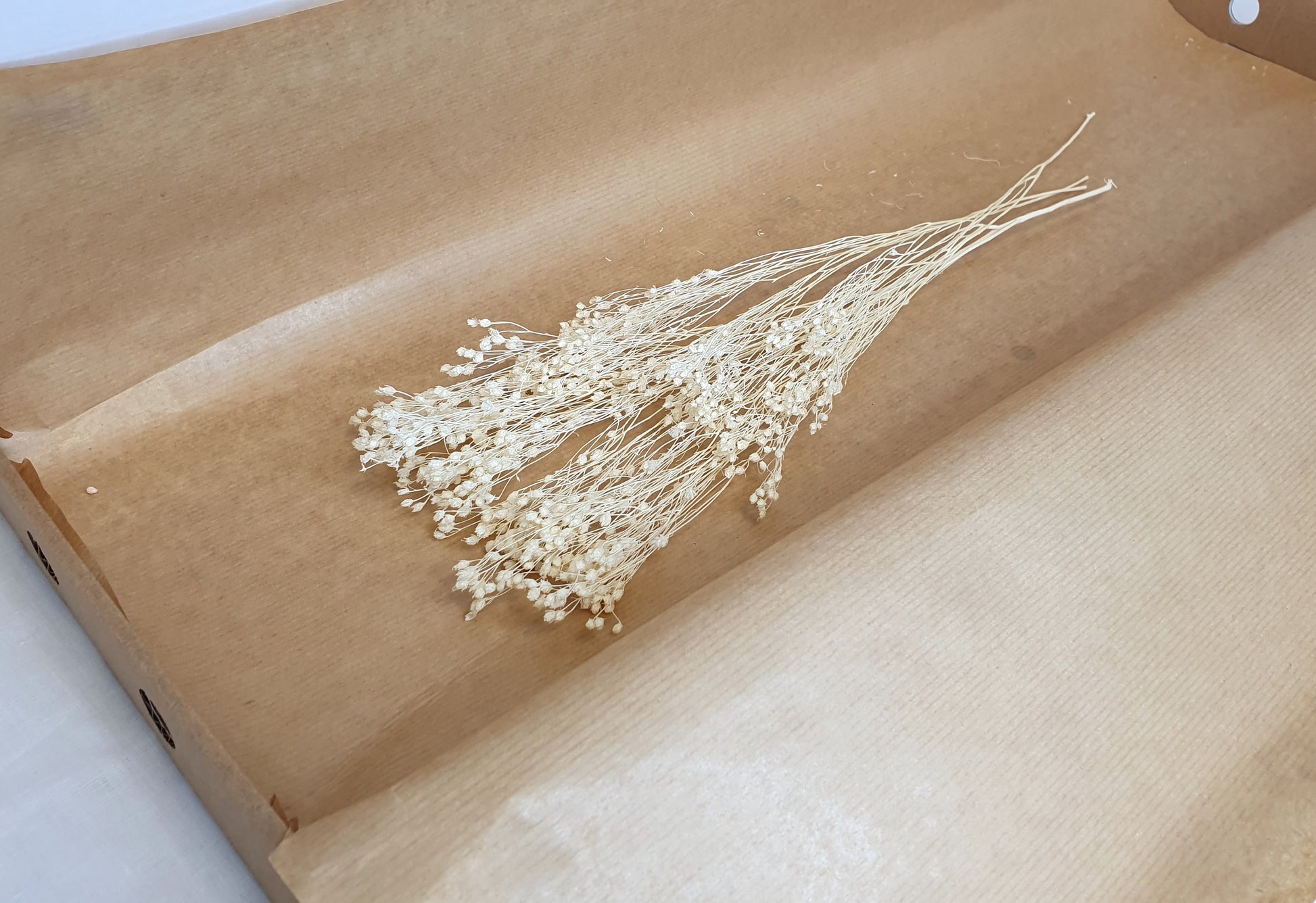 Opal Lily | Pampas Grass Bouquets and Boho Decor | Bleached Broom Bloom