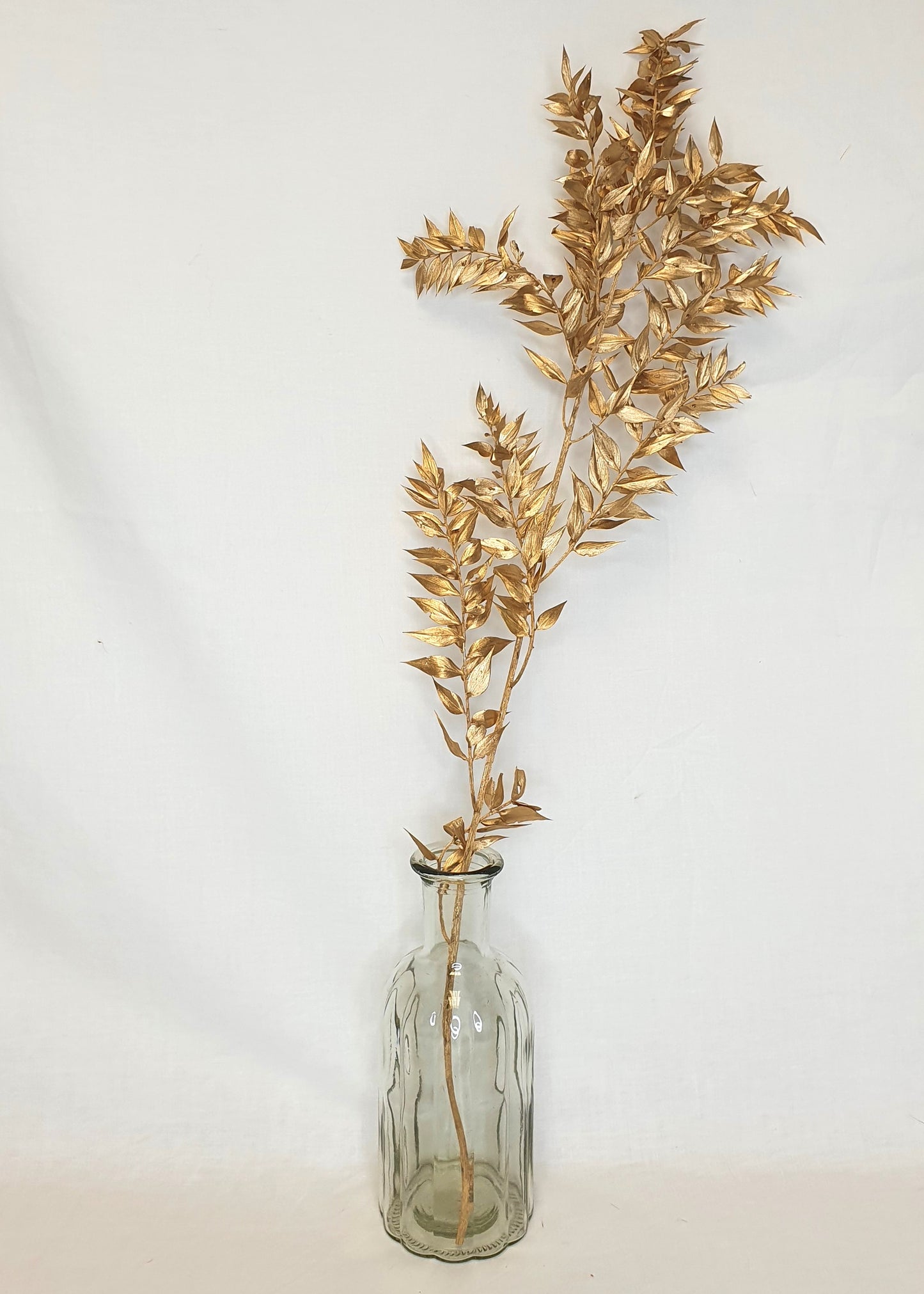 Opal Lily | Pampas Grass Bouquets and Boho Decor | Gold Ruscus